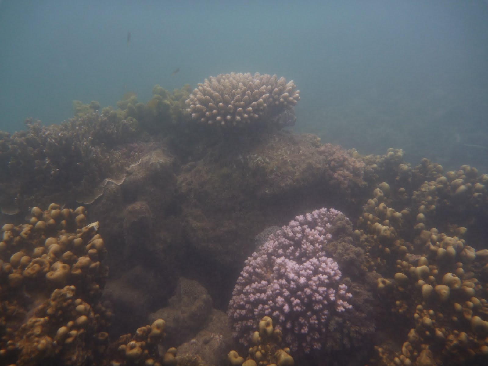 Adrian's Excellent Adventure: April 2010